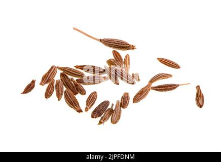 Cumin is a flowering plant, Cuminum cyminum, in the family Apiaceae ...