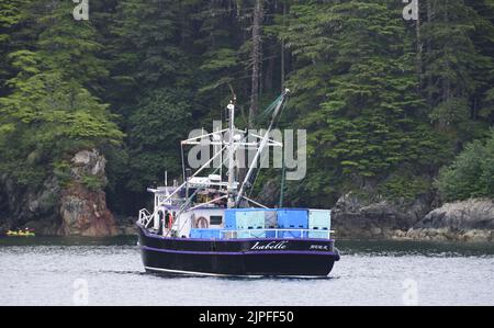 George Island, Alaska, USA. 1st Aug, 2022. The Brigadier"" is a World ...