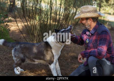man with beard and hat playing with his border collie dog in the ...
