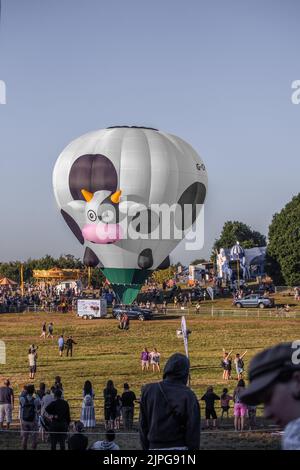 A cow shaped hot air balloon rises into the air at the 2008 Albuquerque ...