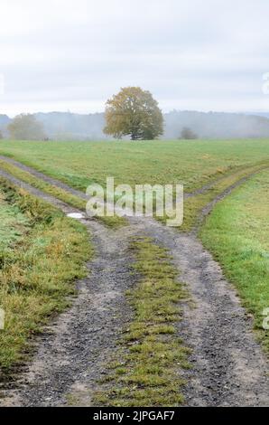Agricultural road and crossing hiking trails in the rural countryside ...