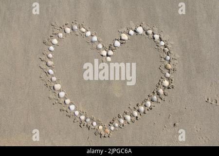 sand, mussel, heart, sands, mussels, hearts Stock Photo - Alamy