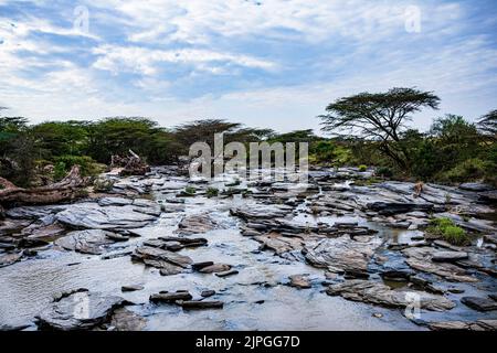 Talek River in Maasai Mara is one of the seasonal rivers that drain the ...