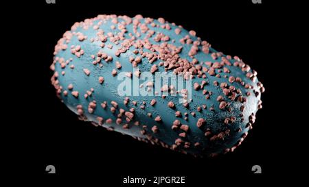 Monkeypox infection, illustration Stock Photo - Alamy