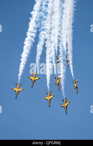 Korean T50 Golden Eagle Military Jet Trainer, number six from the Black ...