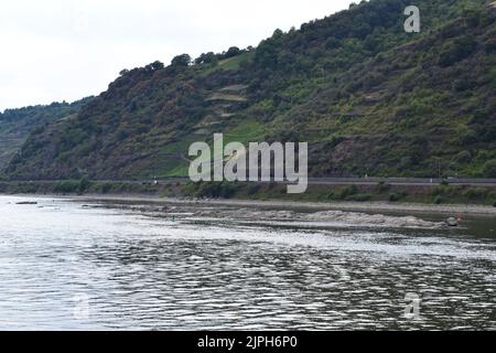 The reefs in the Rhine south of Loreley, in drought dangerous rocks ...