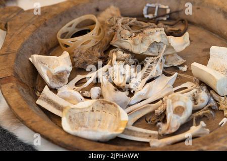 taly, Lombardy, Historical Reenactment Medieval, Bone Used as Amulets ...