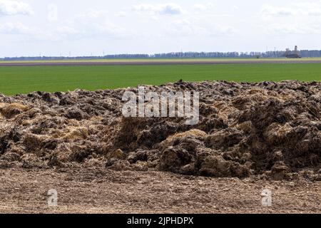 piles of humus manure on the field to fertilize the field territory ...