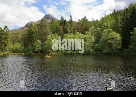 Glencoe Lochan located just north of Glencoe village in the Scottish ...
