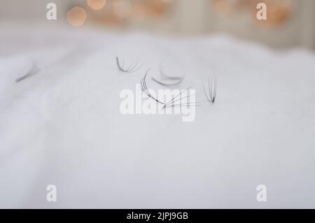 Bunches of fake lashes fell down after eyelash extensions, beauty salon ...