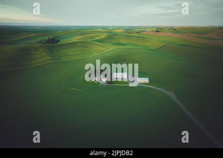 A farm house from above, Palouse, Eastern Washington Stock Photo - Alamy