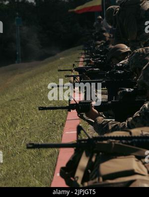 Rifle combat shooting training from behind and around cover or ...