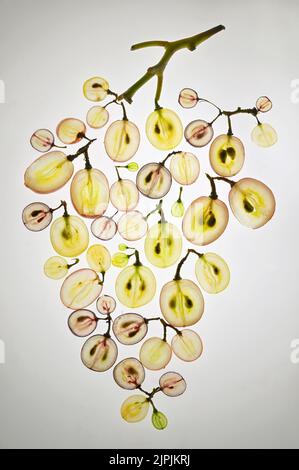 flesh, grape, pios, fleshs, grapes Stock Photo - Alamy