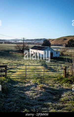 White barn and farmland, Waipawa, Hawkes Bay, North Island, New Zealand ...