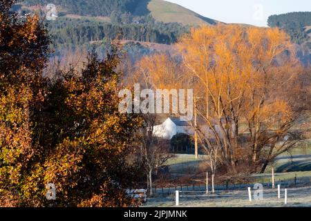 Autumn trees and farm buildings, Waipawa, Hawkes Bay, North Island, New ...