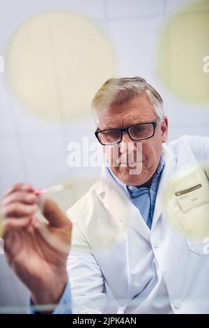 Conducting Scientific Experiment in Modern Laboratory Setting Stock Photo - Alamy