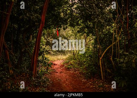 Sunset at Giant cliff at Larn island (Koh Larn). Beautiful of sea at ...
