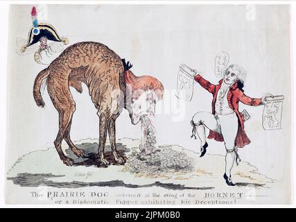 The prairie dog sickened at the sting of the hornet or a dip Stock ...