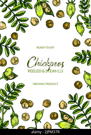 Colorful vertical chickpeas design. Hand drawn illustration in colored ...