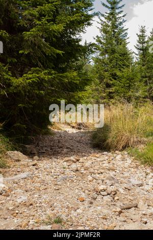 Montagnes des Vosges Stock Photo - Alamy