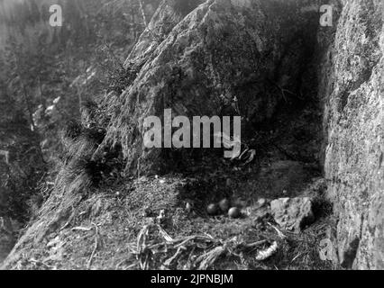 Stay by Pilgrimsfalk Bo av pilgrimsfalk Stock Photo - Alamy