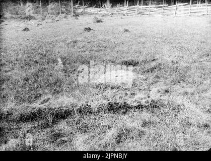 Trana, gravel g. Gravel. Stay by Trana, 10 maj 1913 Trana, Grus g. grus ...
