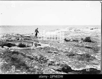 Biotope for the usual lab Biotop för vanliga labben Stock Photo - Alamy