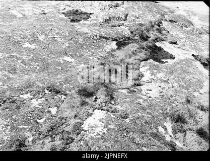 Residence for the usual lab Boplats för vanliga labben Stock Photo - Alamy