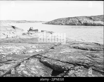 Biotope for the usual lab Biotop för vanliga labben Stock Photo - Alamy