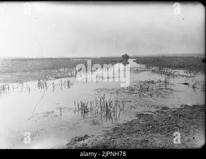 Stay by thrush singers Bo av trastsångare Stock Photo - Alamy