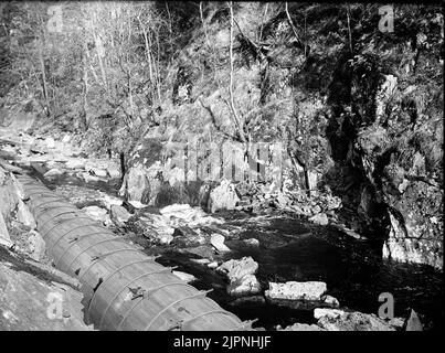 Biotop for Bergärla (Gråärla, Forsella) Biotop för bergärla (gråärla ...