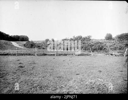 Bush cake near road Buskage nära väg Stock Photo - Alamy