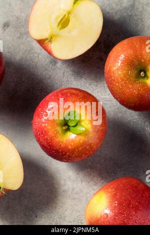 Raw Red Organic Cosmic Crisp Apples in a Bunch Stock Photo - Alamy