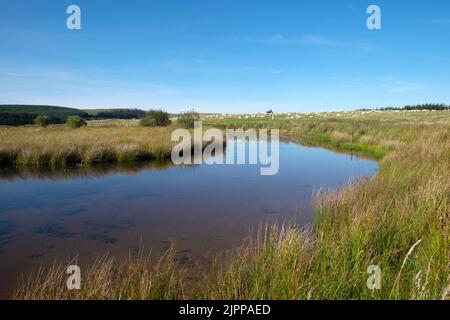 Pool of water tarn on hilltop in agricultural farming landscape summer ...