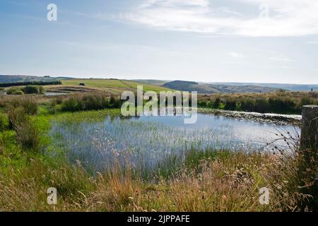 Pool of water tarn on hilltop in agricultural farming landscape summer ...