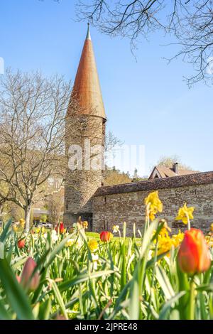 Weil der Stadt Stock Photo - Alamy