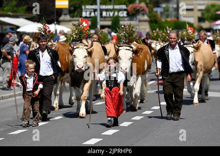 Parade of decorated dairy cows, Interlaken, Switzerland Stock Photo - Alamy