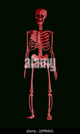 Happy Halloween, holidays and childhood concept - Cute little twins ...