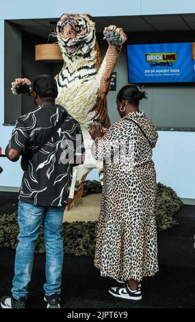 An elephant made out of Lego at the BRICKLIVE convention at the NEC in ...