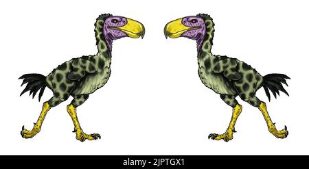 Prehistoric birds of prey - gastornis. Drawing with extinct predators ...
