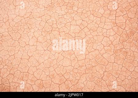 Cracked ground, Anderson Bottom, Canyonlands National Park, Utah Stock ...