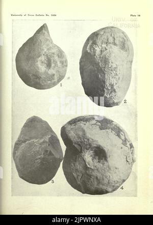 The Weno and Pawpaw formations of the Texas Comanchean BHL20539127 ...