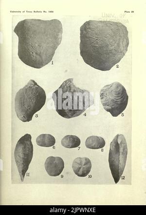 The Weno and Pawpaw formations of the Texas Comanchean Stock Photo - Alamy