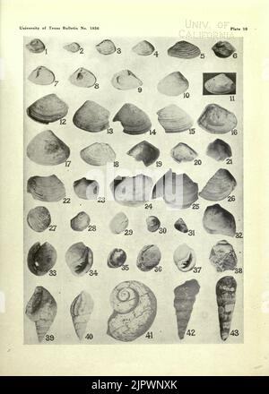 The Weno and Pawpaw formations of the Texas Comanchean BHL20539127 ...