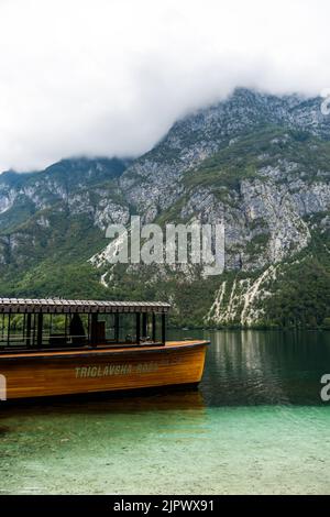 Vertical shot of Lake Bohinj with a wooden bridge surrounded by ...