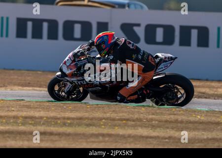 Joey Thompson 14 British Super Bikes GP2 Thruxton 2022 Stock Photo - Alamy