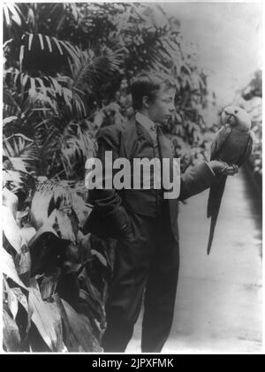 Theodore Roosevelt & Eli Yale [blue macaw] Stock Photo - Alamy