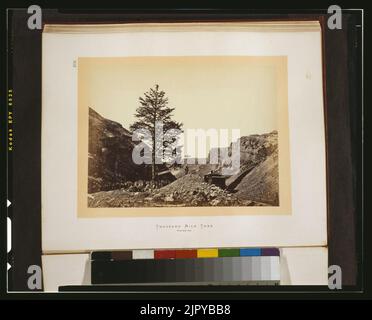 Thousand Mile Tree, Wilhelmina's Pass. Andrew J. Russell; American ...