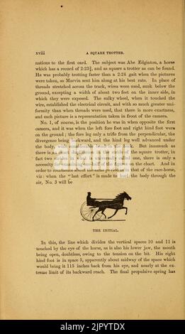 Tips and toe-weights Stock Photo - Alamy