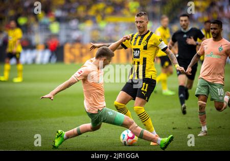 Mitchell Weiser (Werder Bremen, #08) im Zweikampf mit Christian Guenter ...